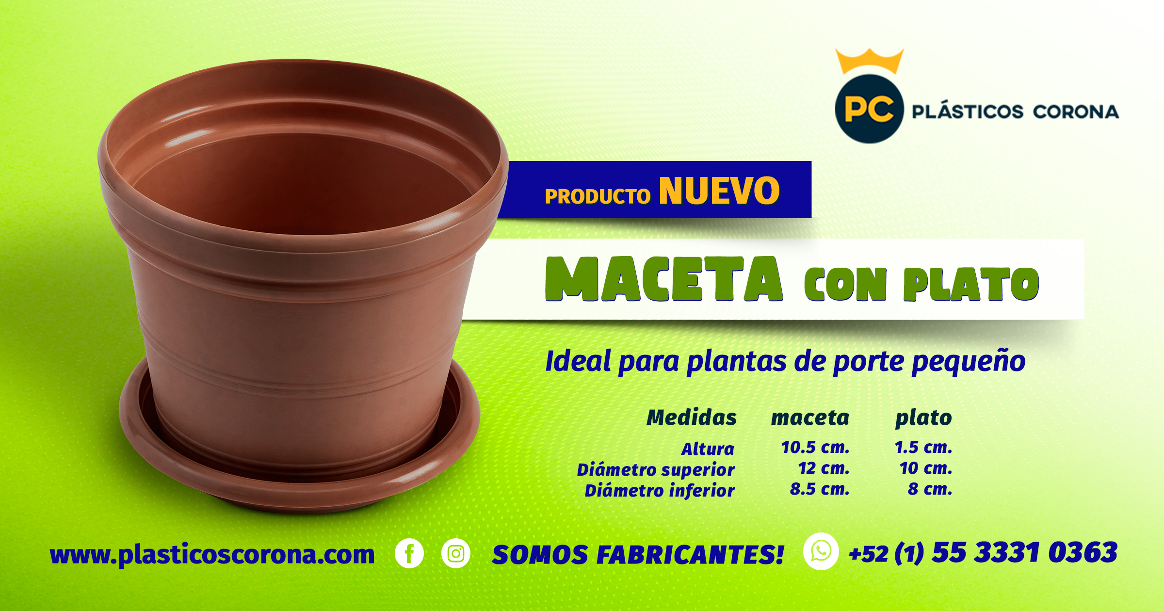 Maceta con plato